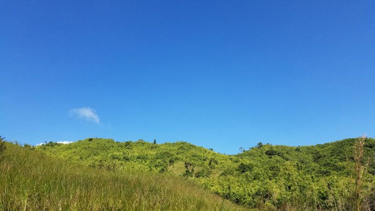 Mt. Mapalad Day Hike Guide (Itinerary + Budget) | Manillenials